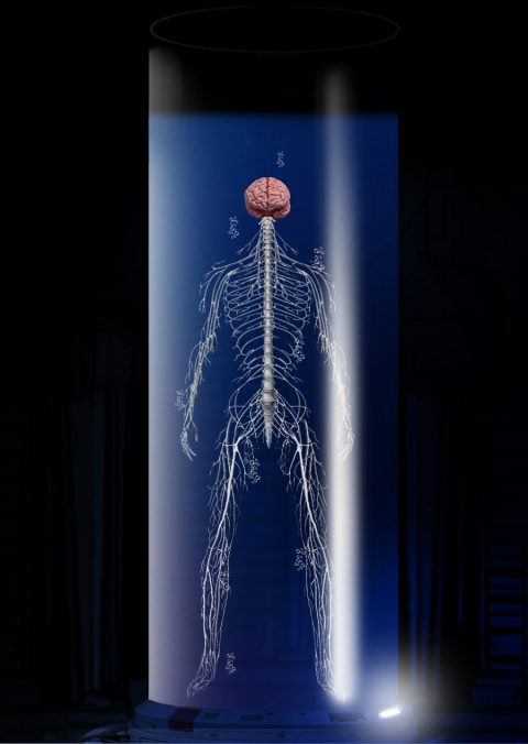 Neural Extraction 11 Erotic Mad Science